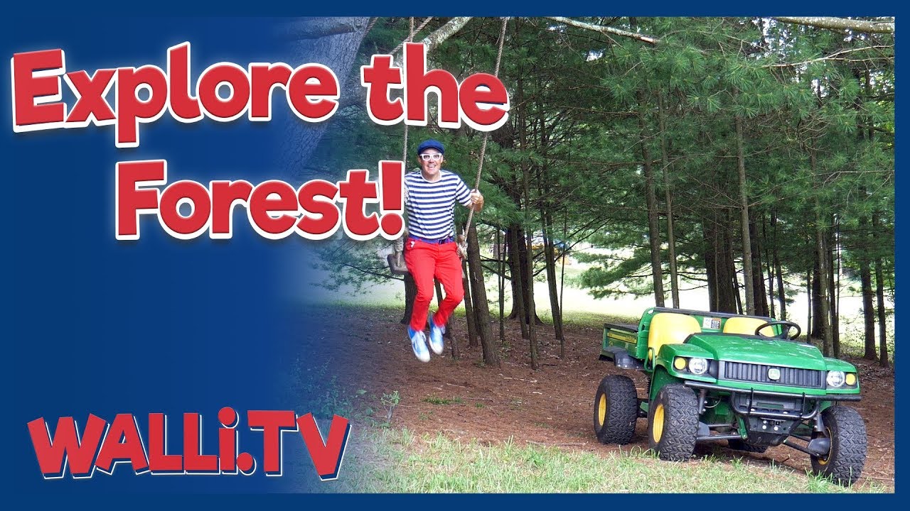 Explore the Nature - Kids Learn about Nature Video - YouTube