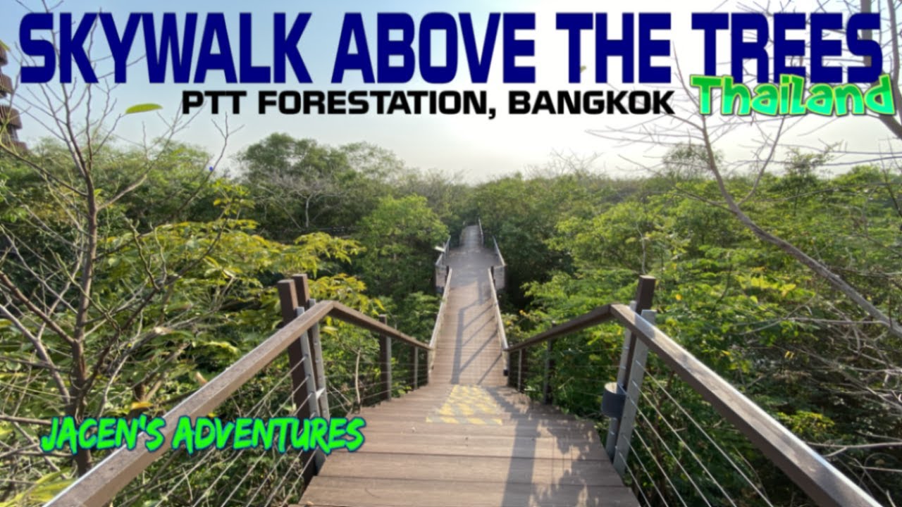 Skywalk above the TREES! | PTT Forestation | Bangkok, Thailand | ป่าใน ...