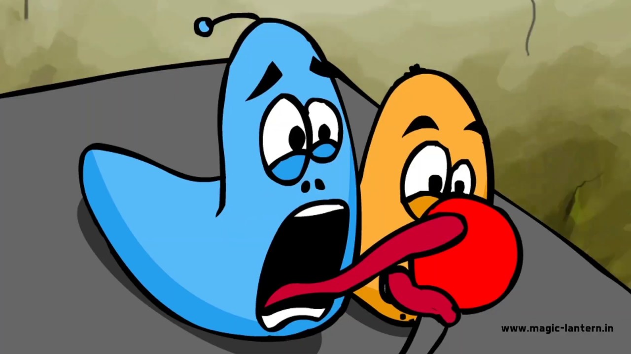 Larva 2d animation 03 | Magic Lantern - YouTube