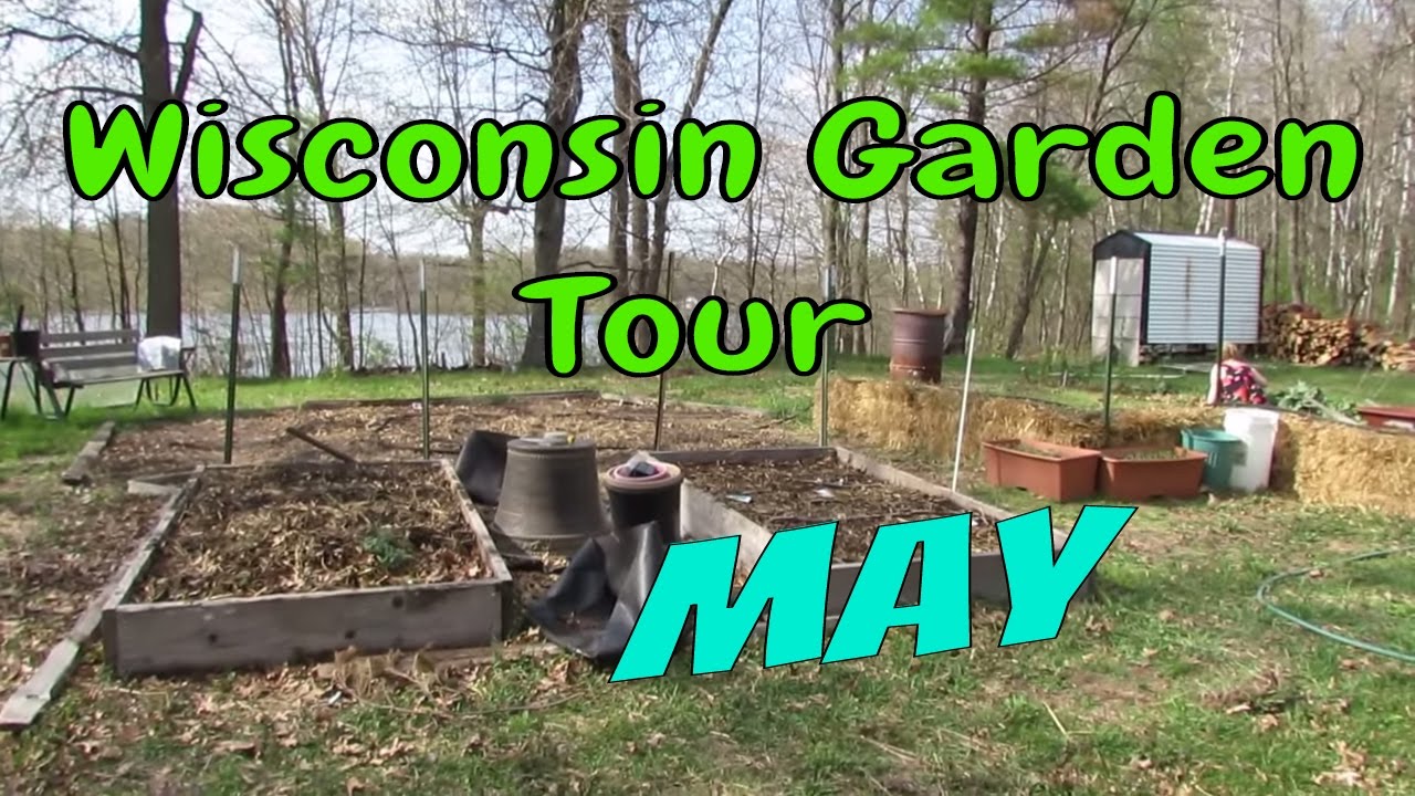 Early May Wisconsin Garden Tour. Wisconsin Gardener. #Gardentour - YouTube