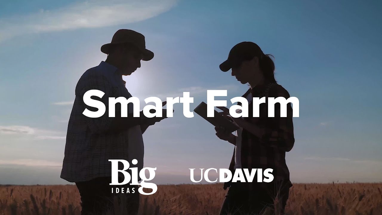 Innovating with Smart Farm | UC Davis Big Ideas - YouTube