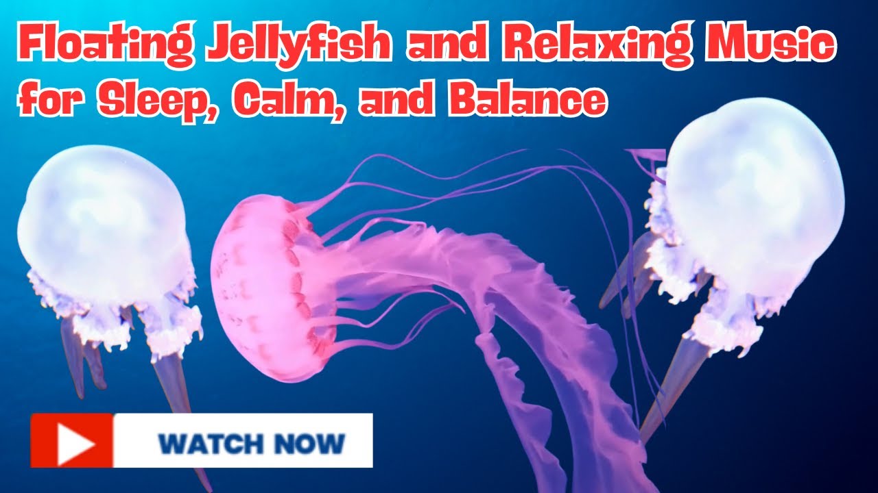 Floating Jellyfish and Relaxing Music for Sleep, Calm, and Balance ...