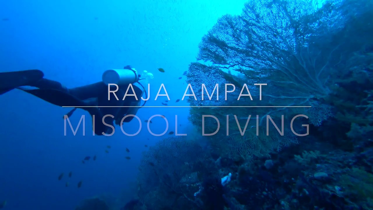 Raja Ampat Misool Diving Indonesia Islands 4k - YouTube