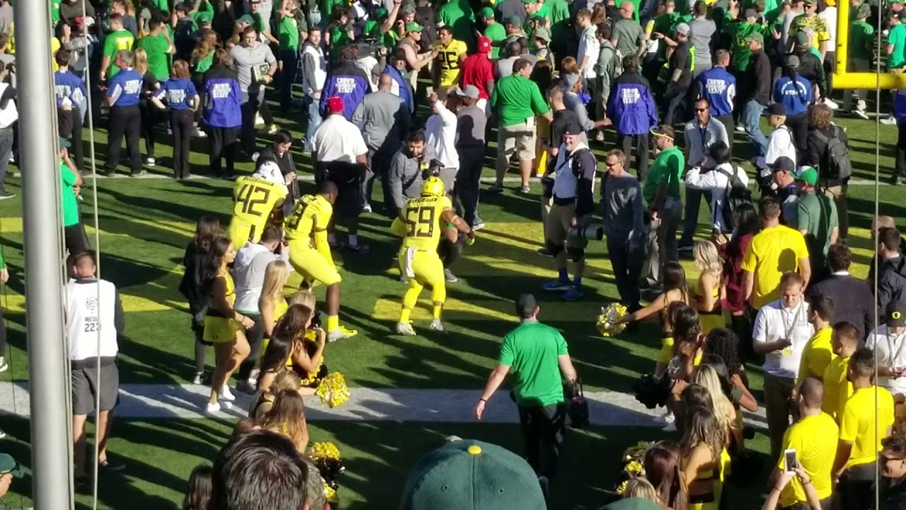 Students & fans storm the field after Oregon Ducks beat Washington ...