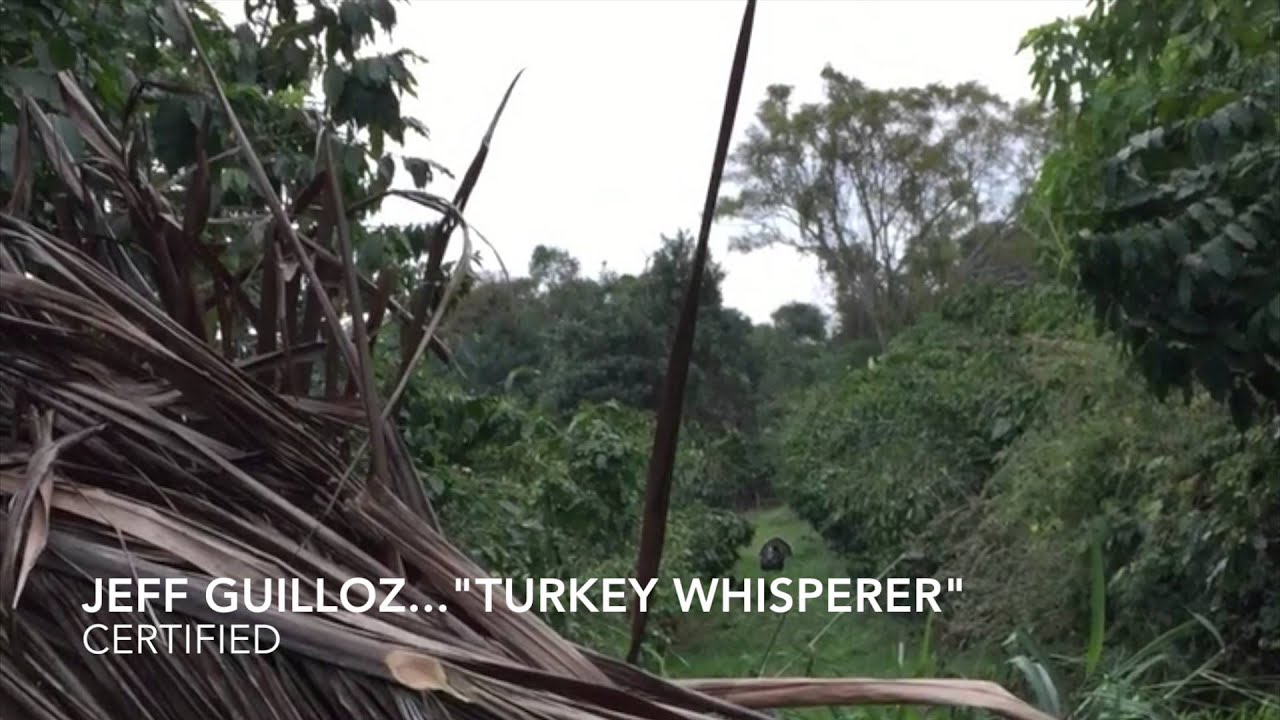 Spartan Port's Big Island, Hawaii Bow Turkey - YouTube