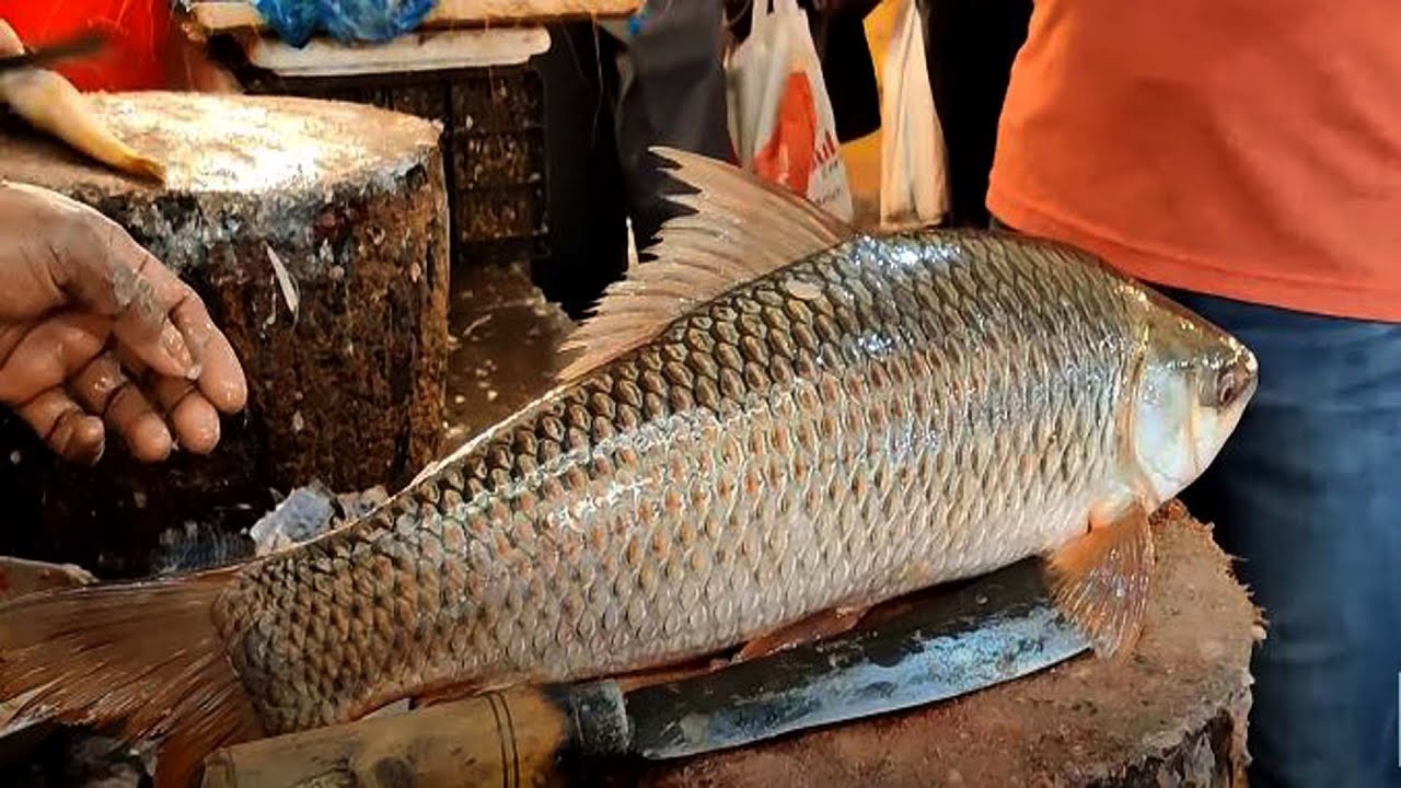 Amazing Cutting Skills Big Rohu Fish Skinning Chopping By Expert Fish ...