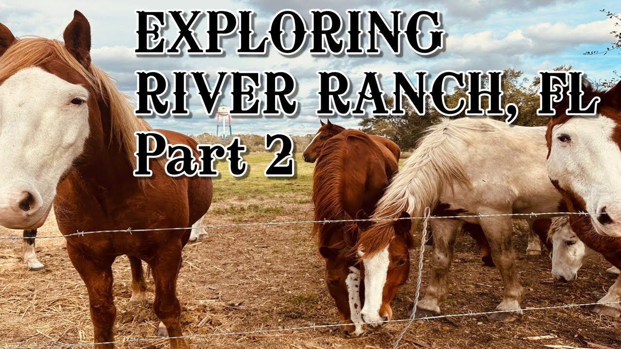 EXPLORE River Ranch Florida's Hidden Secrets! Part 2 - YouTube