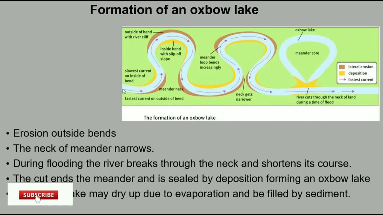 Geography Geomorphology: Oxbow lakes formation| Meander loop| River ...