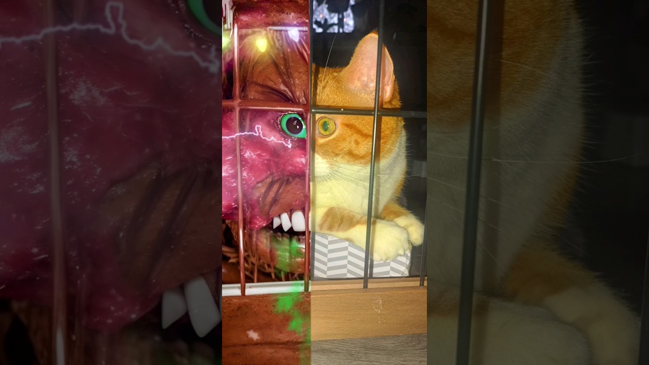 ginger cat cursed gingerbread man #shorts - YouTube
