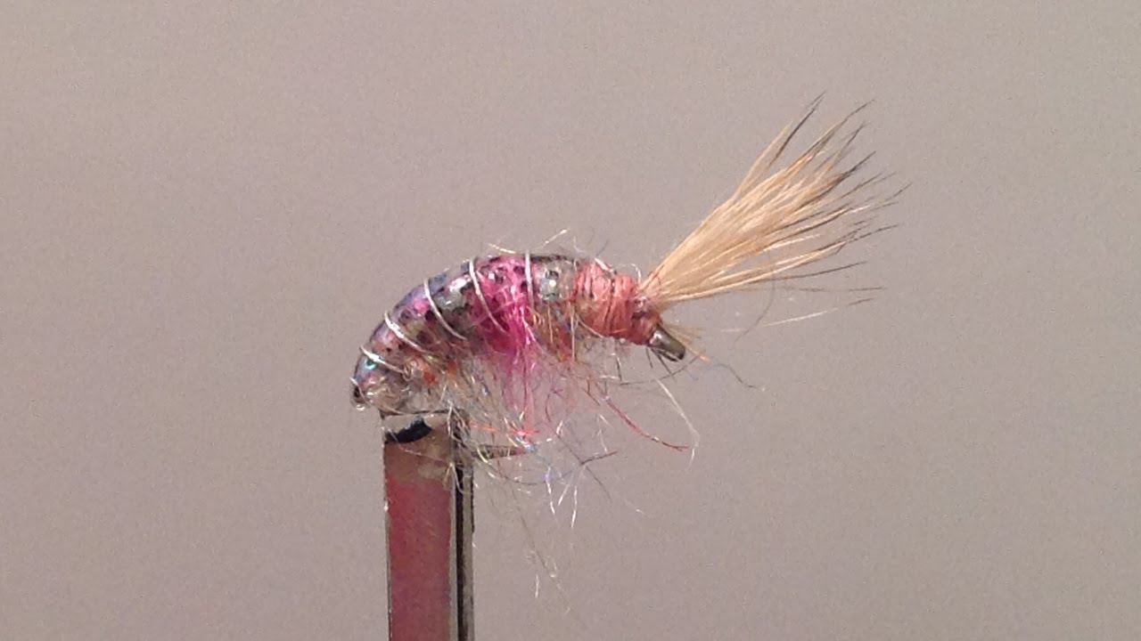 Rainbow Flashback Scud - YouTube