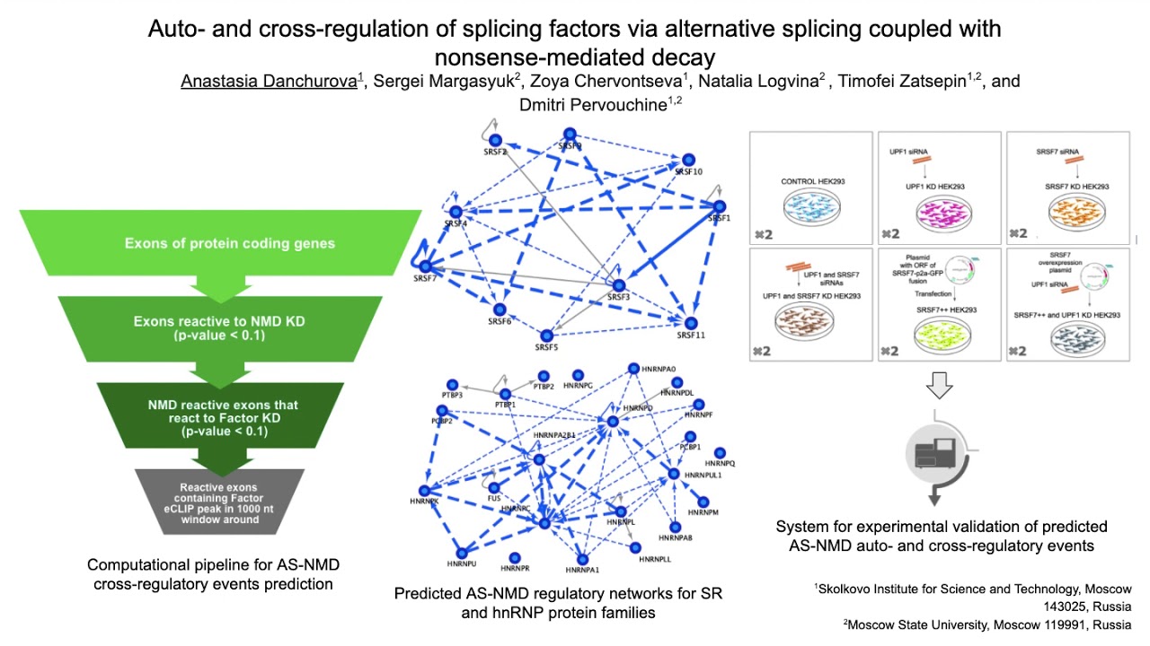 Auto- and cross-regulation of splicing factors via alternative splicing ...