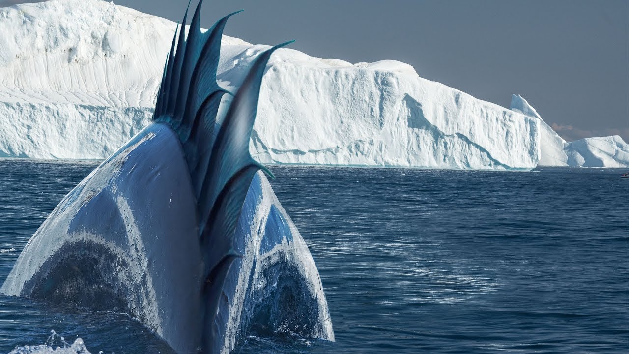 ¿Existen Monstruos Marinos en la Vida Real? | El Ningen - YouTube