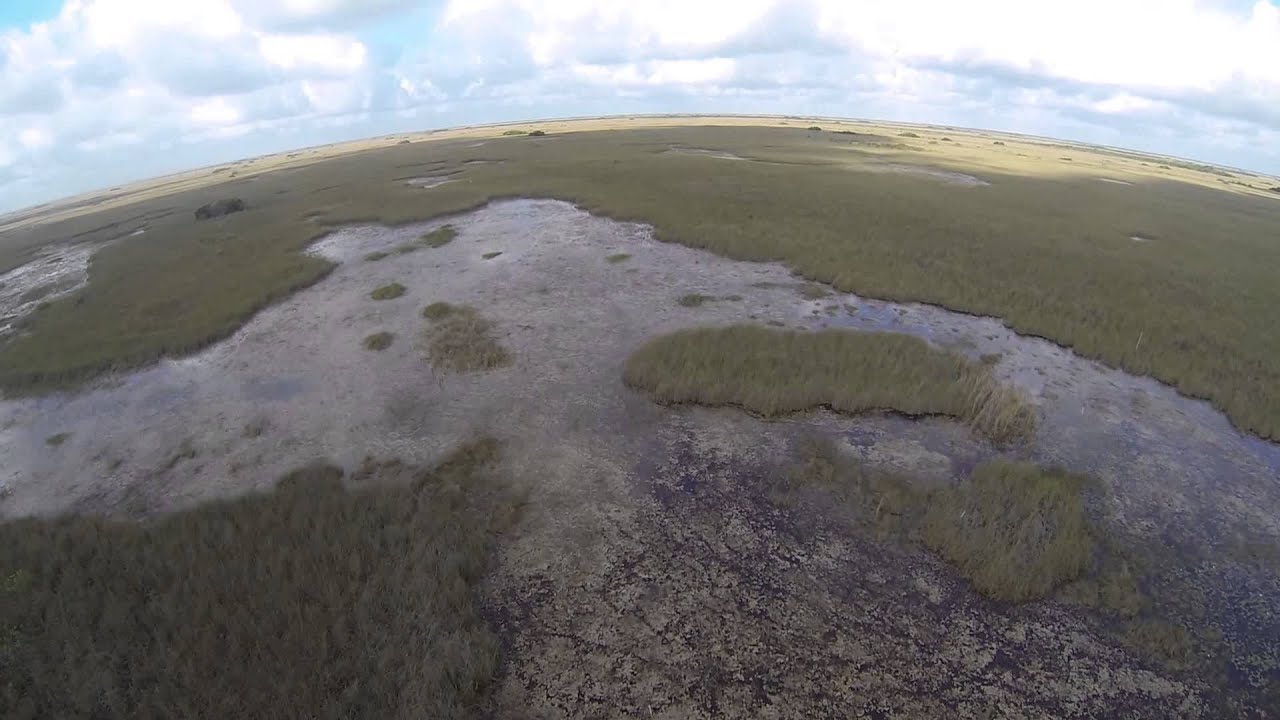 Flying over Shark River Slough - YouTube