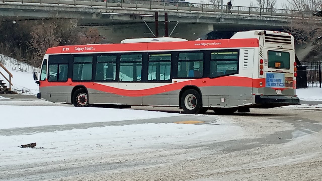 Calgary Transit 2010 Nova Bus LFS #8119 on Route 81 Macleod TR SE South ...