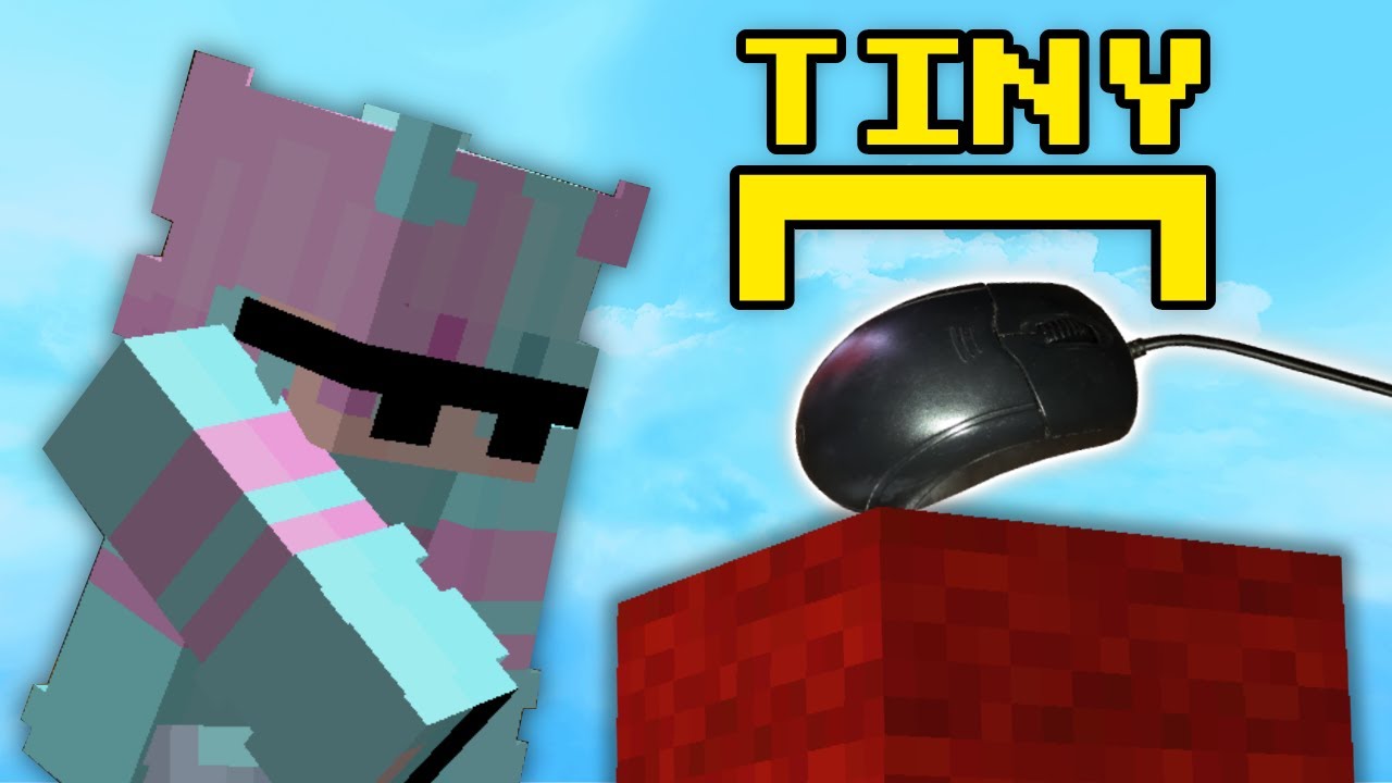 Minecraft Using the SMALLEST Mouse - YouTube