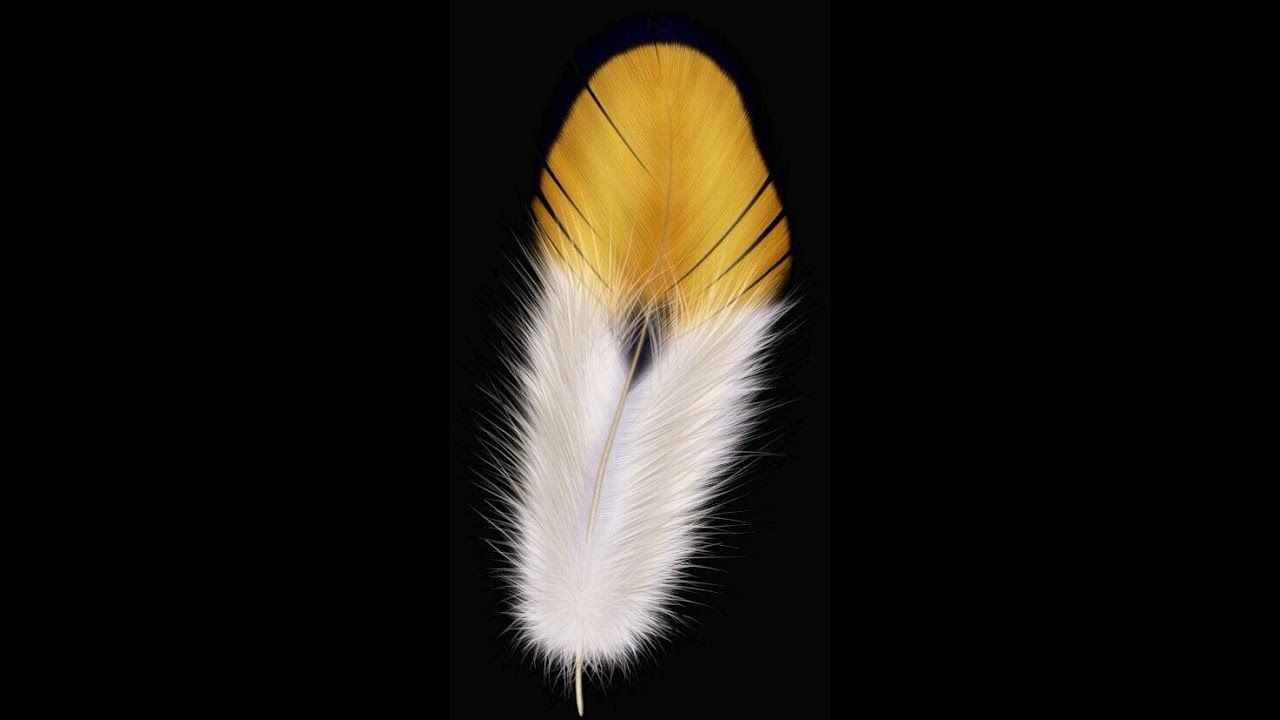 Amber's Feather Meditation, stress relief, anxiety, inner peace ...