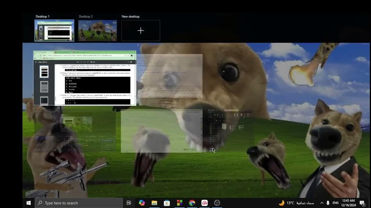 C Programming for FCAIH | Functions (Q12) | Helwan Coders | شرح الدوال بلغة C - YouTube
