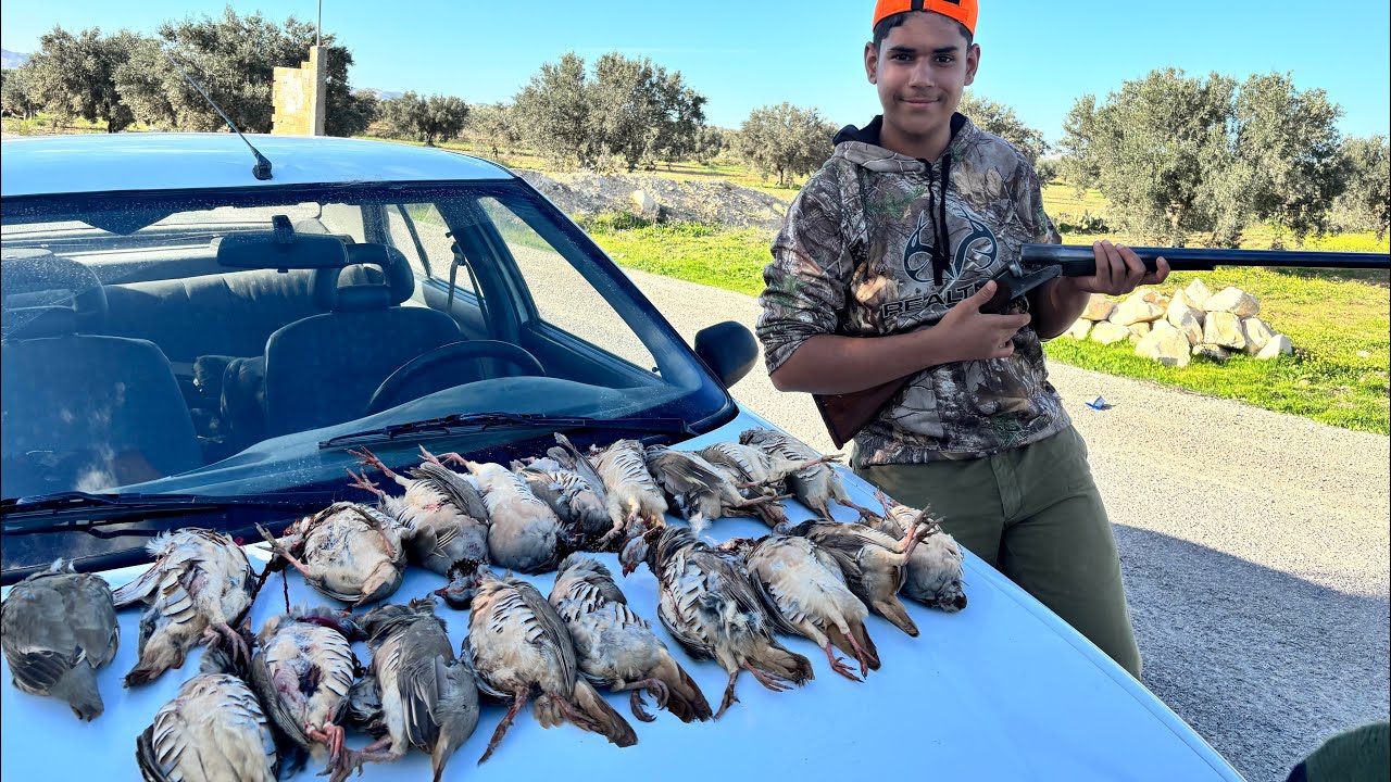 Chasse aux perdix en Tunisie/ hynting of perdix/ صيد الحجل 2024 /2025# ...