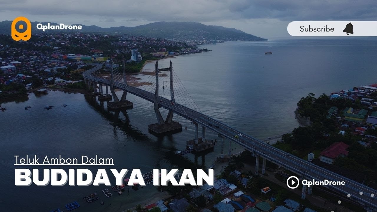 Kawasan Budidaya Ikan di Teluk Ambon - View Drone 4k - YouTube