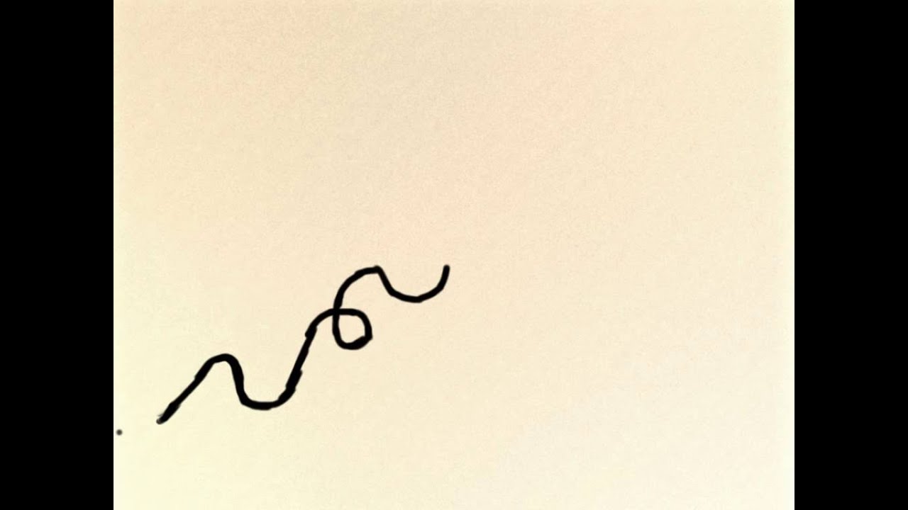 lines test animation - YouTube