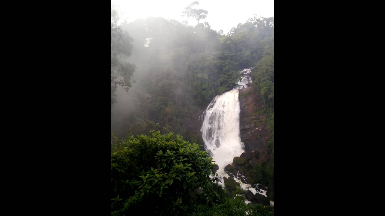 Waterfalls , Wayanad - YouTube