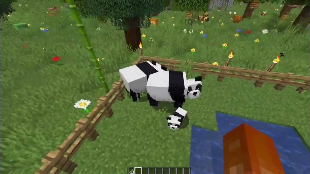Minecraft How To Breed Pandas - YouTube