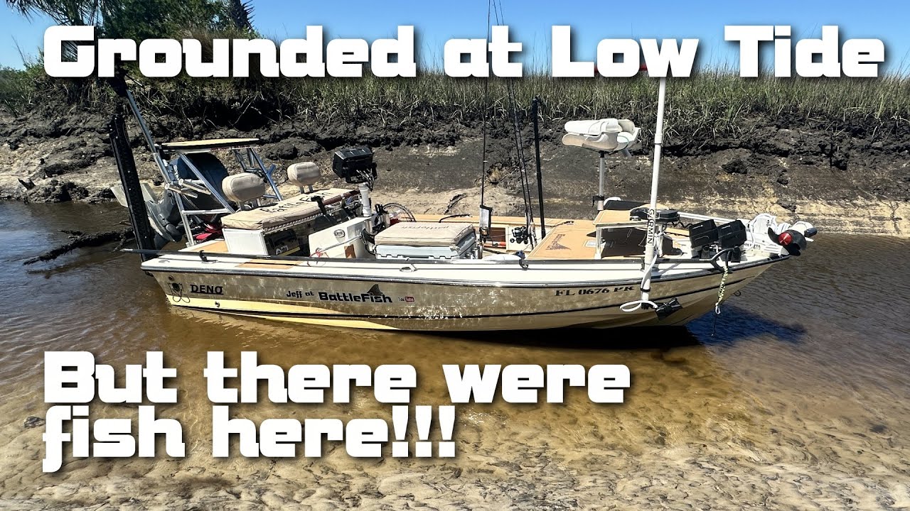 Grounded at Low Tide, But Fish were HERE!!! - YouTube