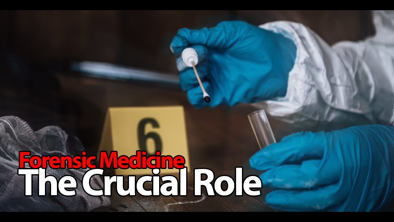 The Crucial Role of Forensic Medicine in Crime Solving - YouTube