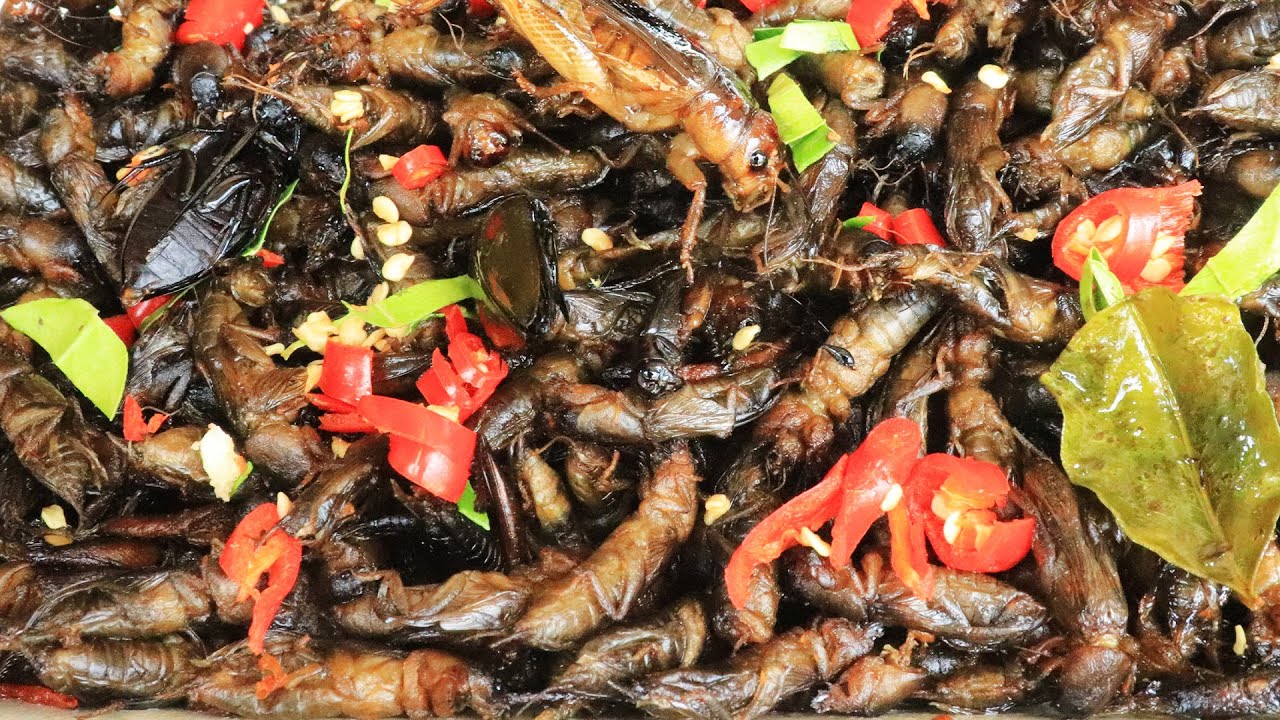 Crispy Fried Cricket Bug Fried Recipe So Yummy - YouTube