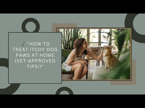 🩺 "How to Treat Itchy Dog Paws at Home (Vet-Approved Tips!) - YouTube