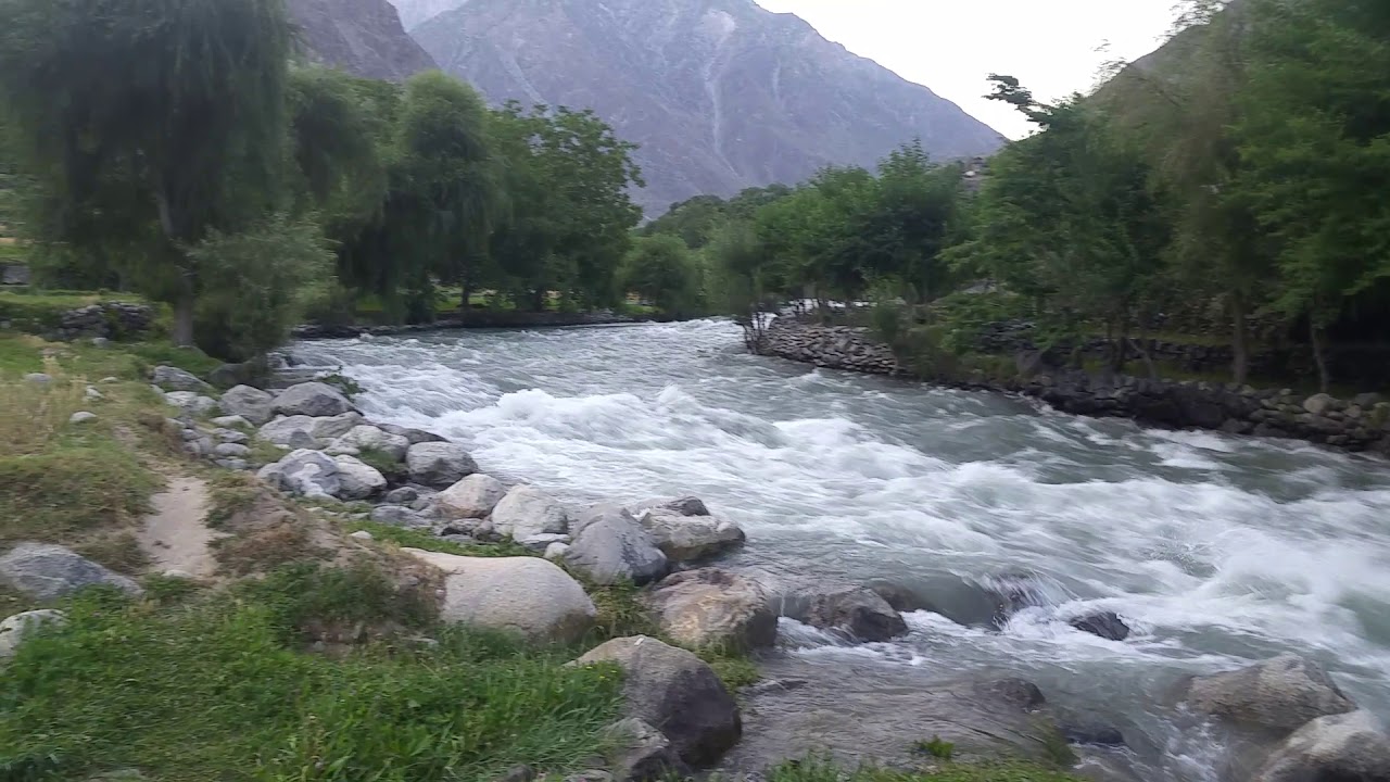 Village gayal - YouTube