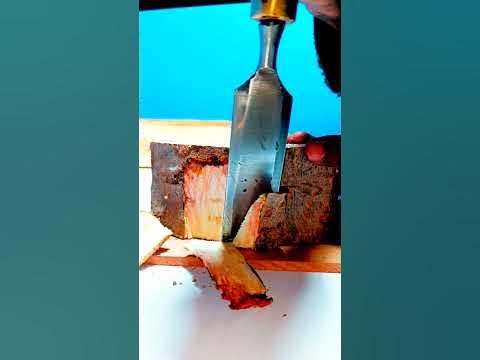 hello chisel 😺 friends 😘😘#shorts - YouTube