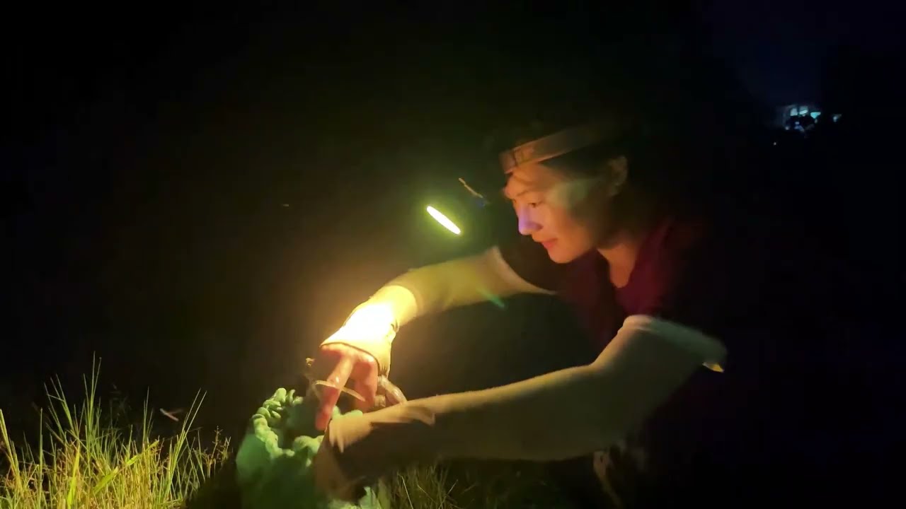 Harvesting 1000+ Thousand-Year-Old Frogs at Night & Goes to Market Sell ...
