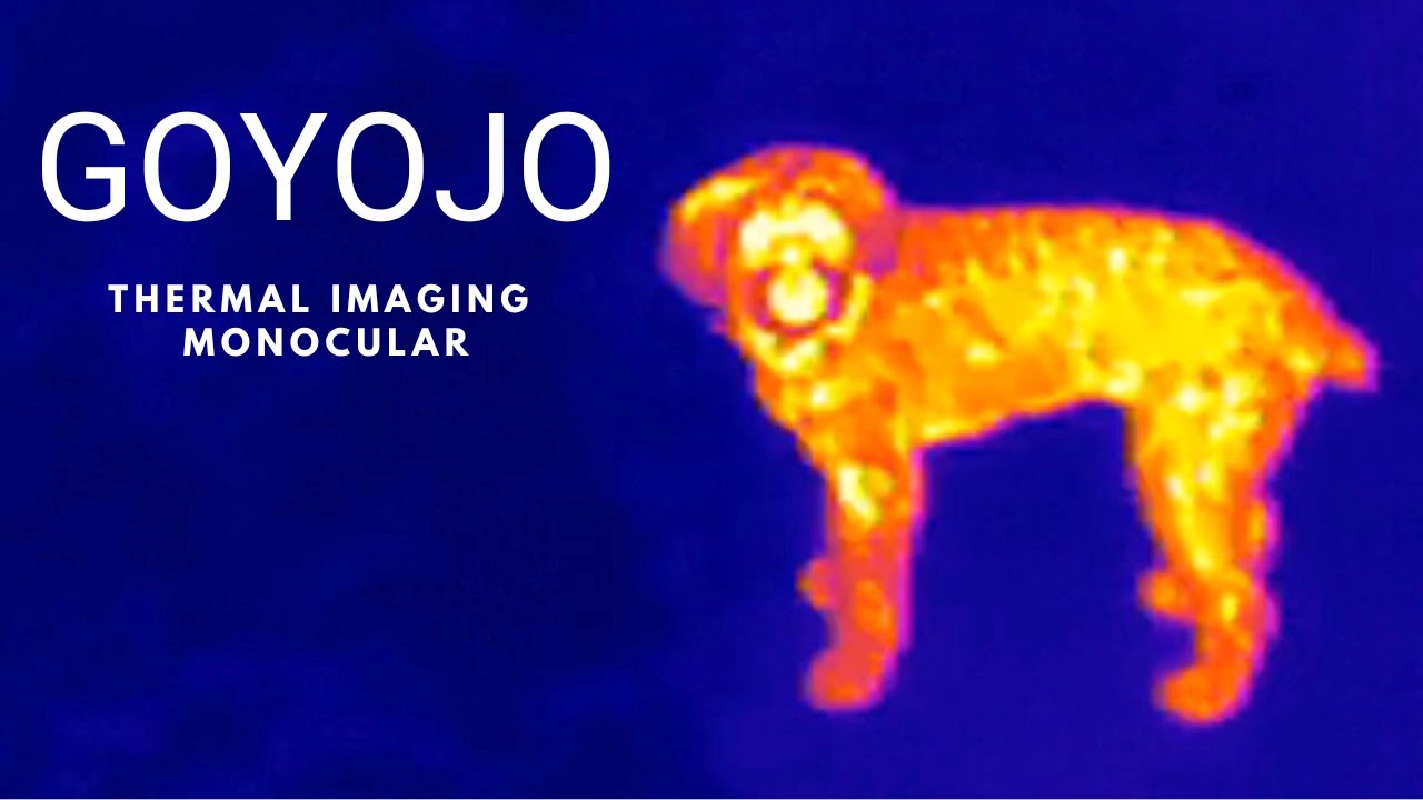 REVIEW: GOYOJO Thermal Monocular - #1 New Release on Amazon - YouTube