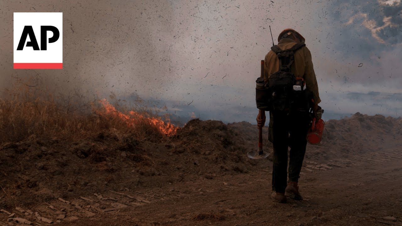 Post fire: Crews in Gorman, California, battle first major fire of the ...