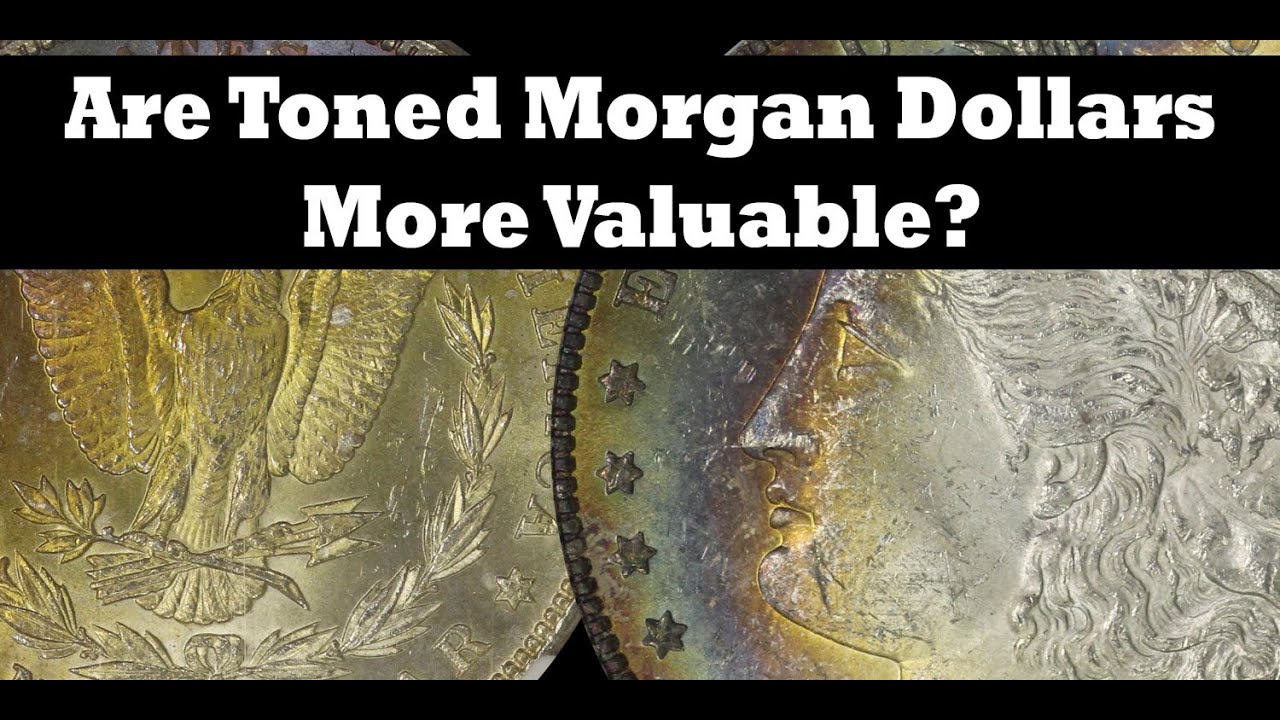 Are Toned Morgan Dollars Worth More Money? Here's 15 Toners - YouTube