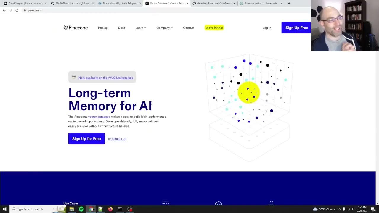 Chatbot with INFINITE MEMORY using OpenAI & Pinecone GPT 3, Embeddings, ADA, Vector DB, Semantic ...