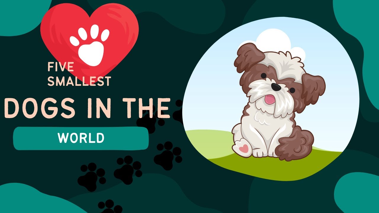 Meet the World's Smallest Dogs: Petite Pooches with Big Personalities ...