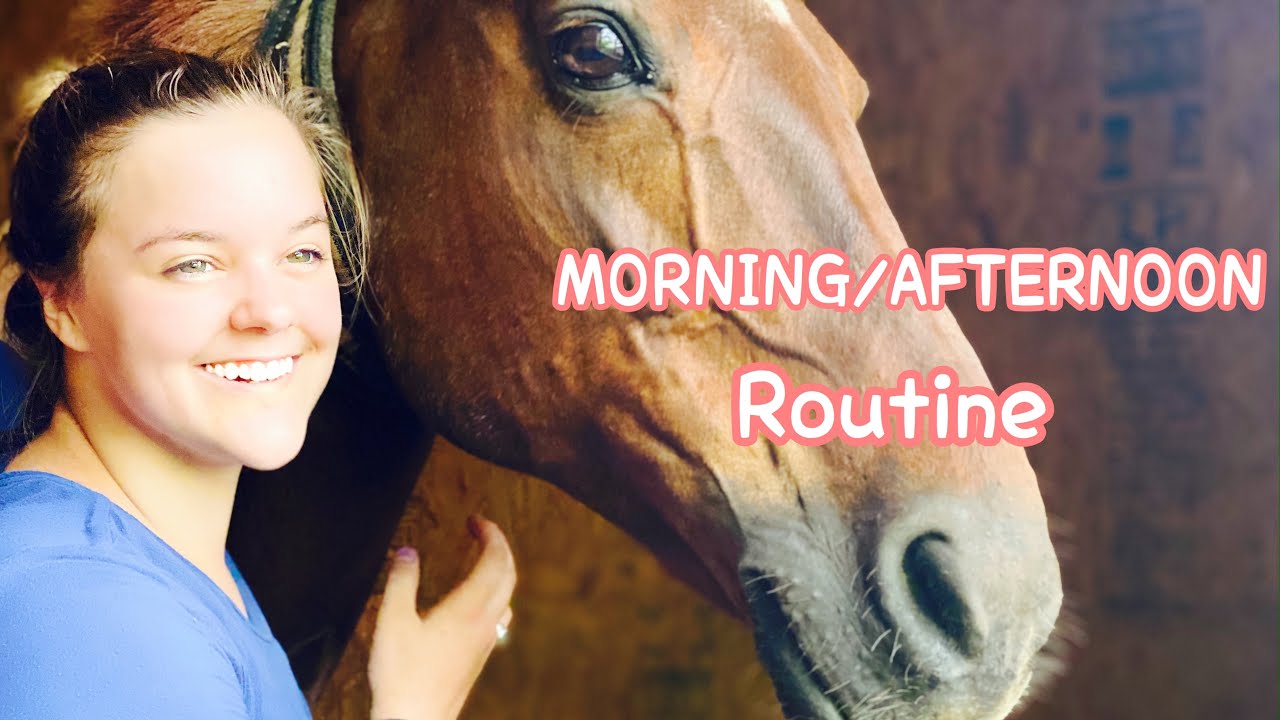Morning/Afternoon Routine Equestrian! - YouTube