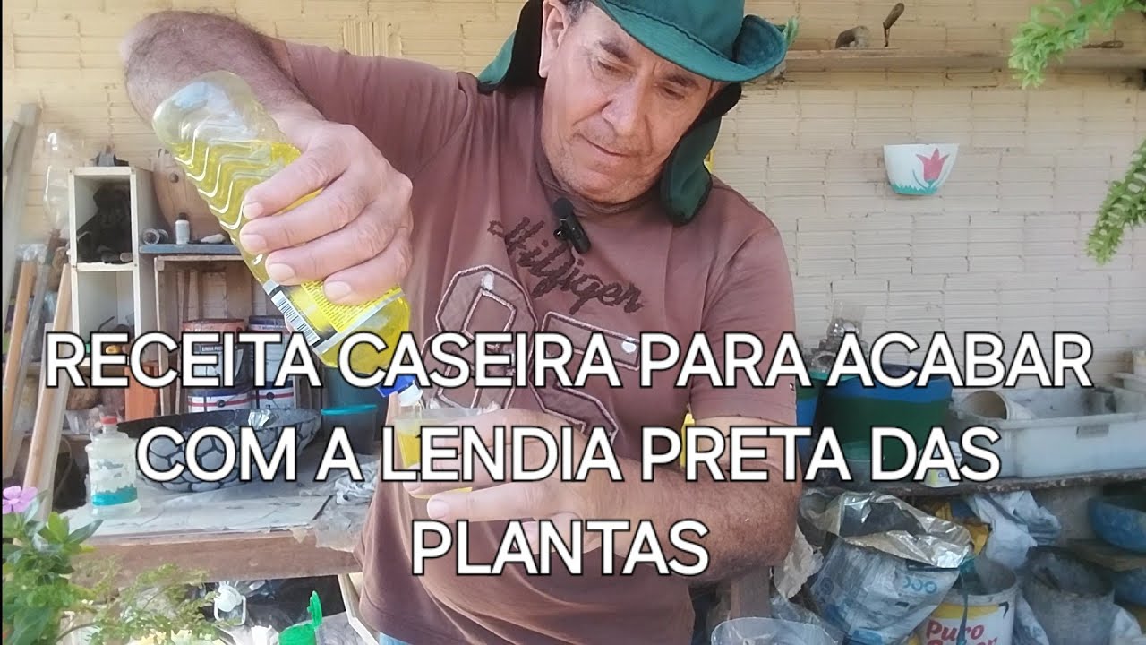 receita caseira de como acabar com a lendia preta das plantas - YouTube