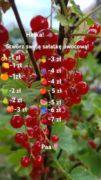 Owocki#fanpage Super_Kuzynkiii#youtube - YouTube