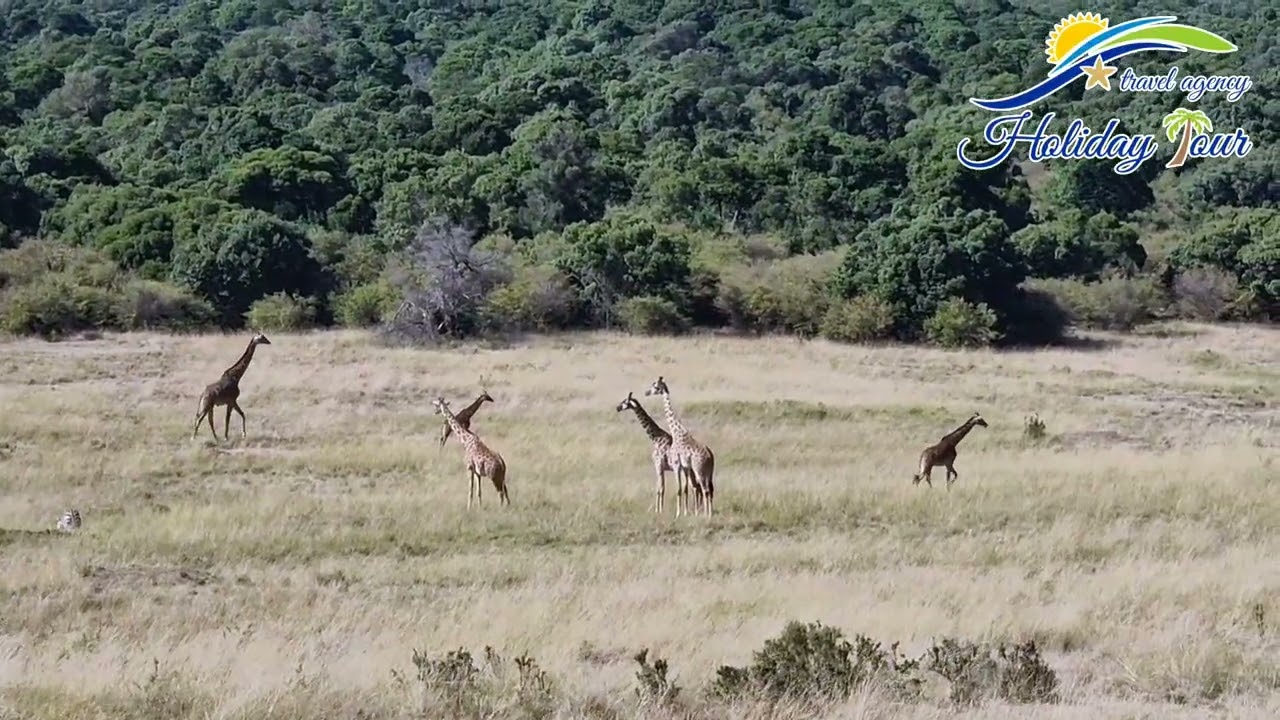 Home • Holiday Tour Mures