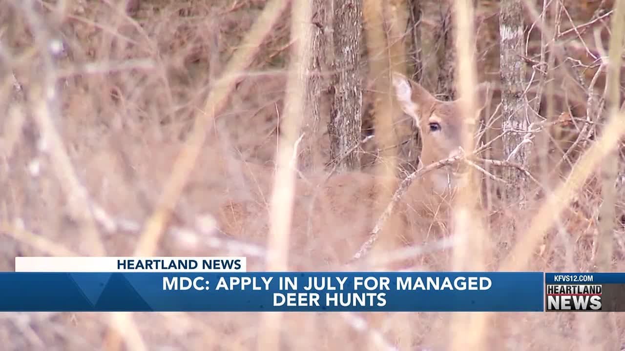 MDC: Apply in July for managed deer hunts - YouTube