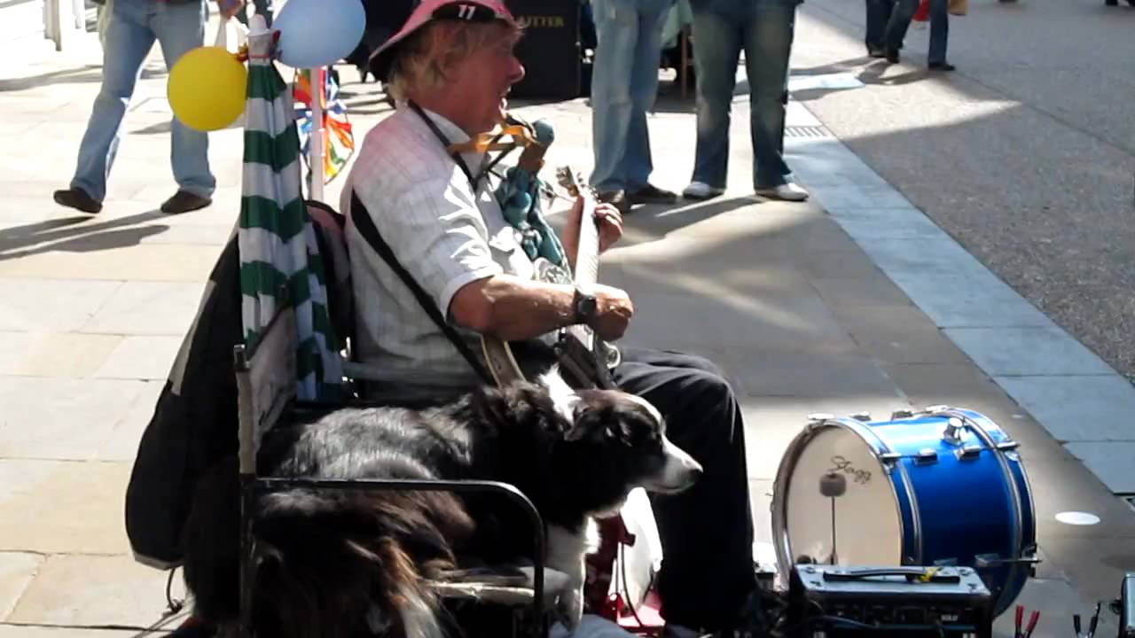 Busker with dog - YouTube