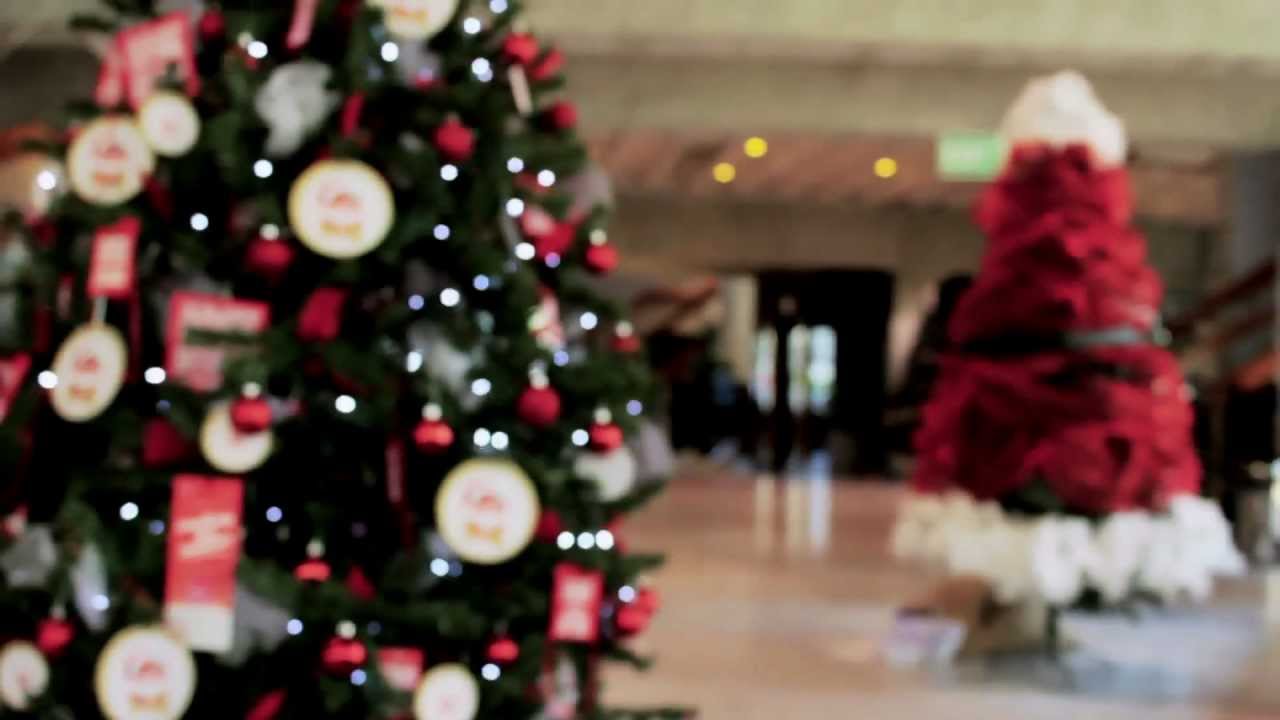 Wellington Christmas Tree Festival 2012 - YouTube
