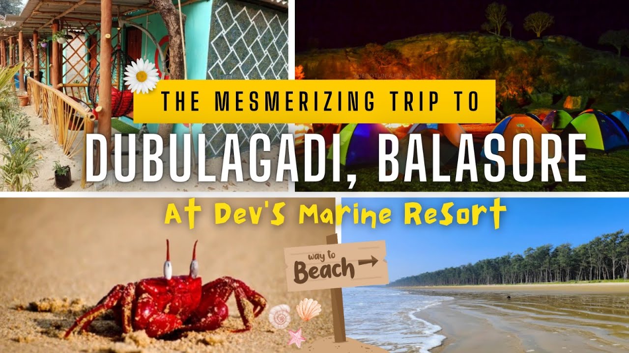 Ocean Oasis Retreat: Discover Serenity at Dev's Marine Resort in ...