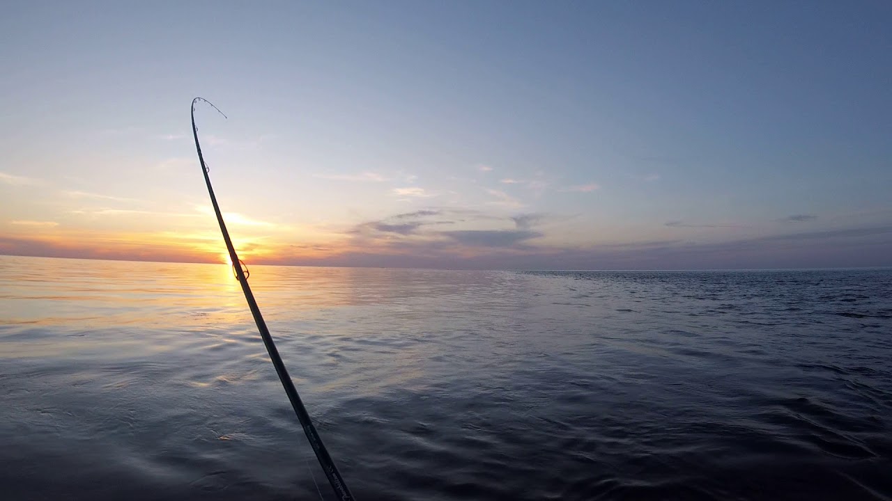 Min største mistet fisk #havørred #salmon - YouTube