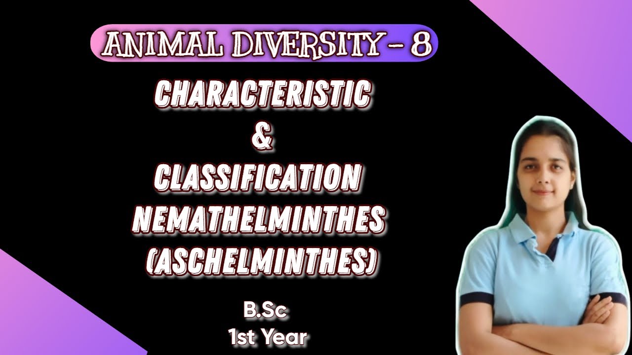 Characteristic & Classification Of NEMATHELMINTHES/ASCHELMINTHES #study ...