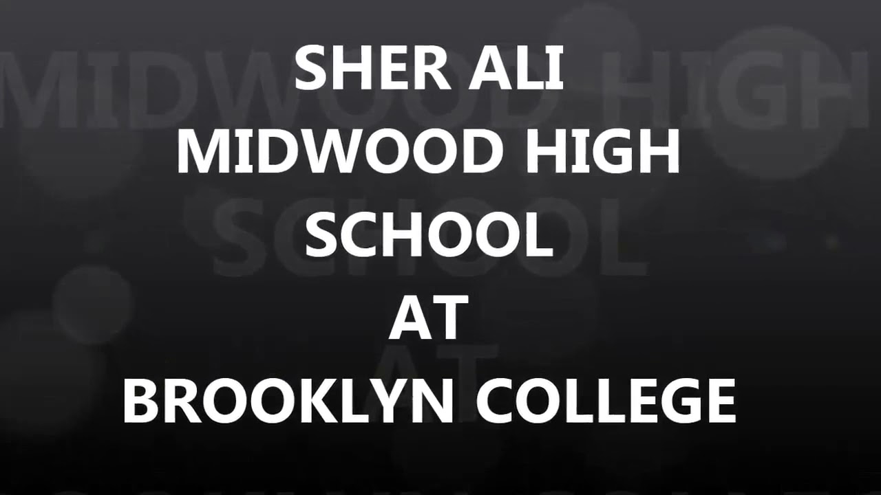 Sher Quaker Parrot PS233 Meyer Levin Jhs 285 Midwood High School at ...