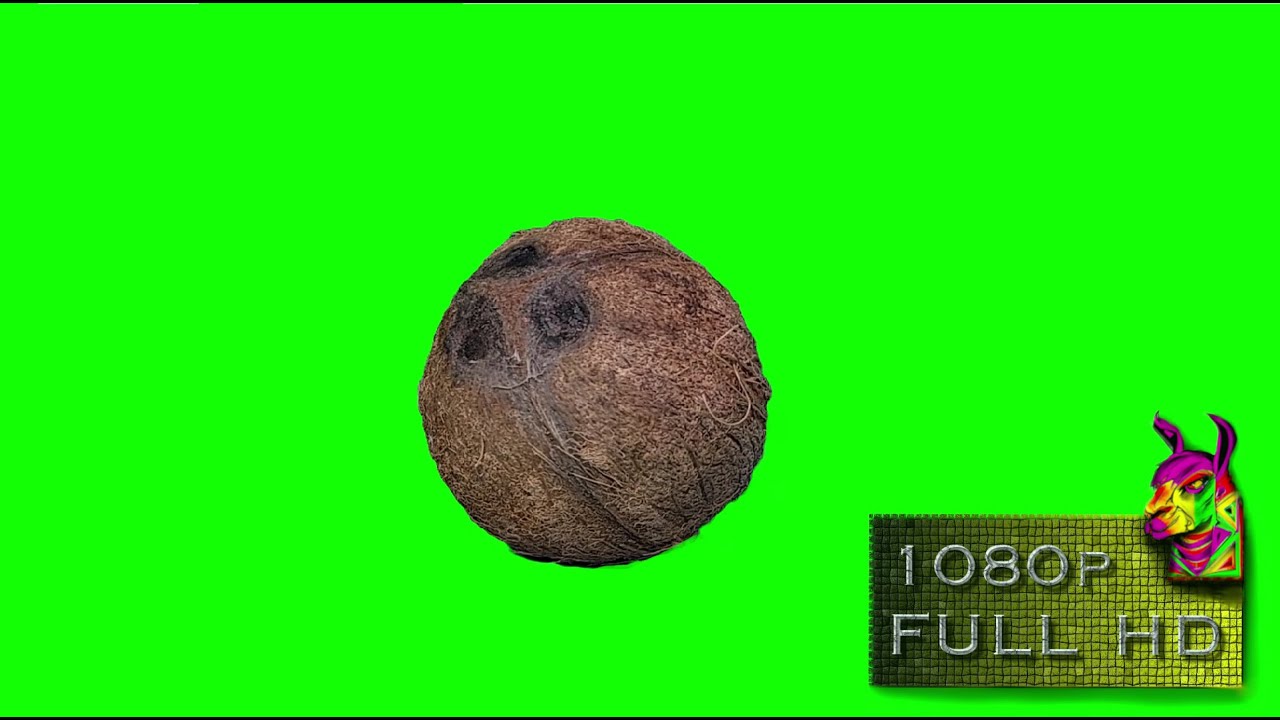 GREENSCREEN REAL COCONUT (360 ROTATING) | NO COPYRIGHT | FREE DOWNLOAD ...